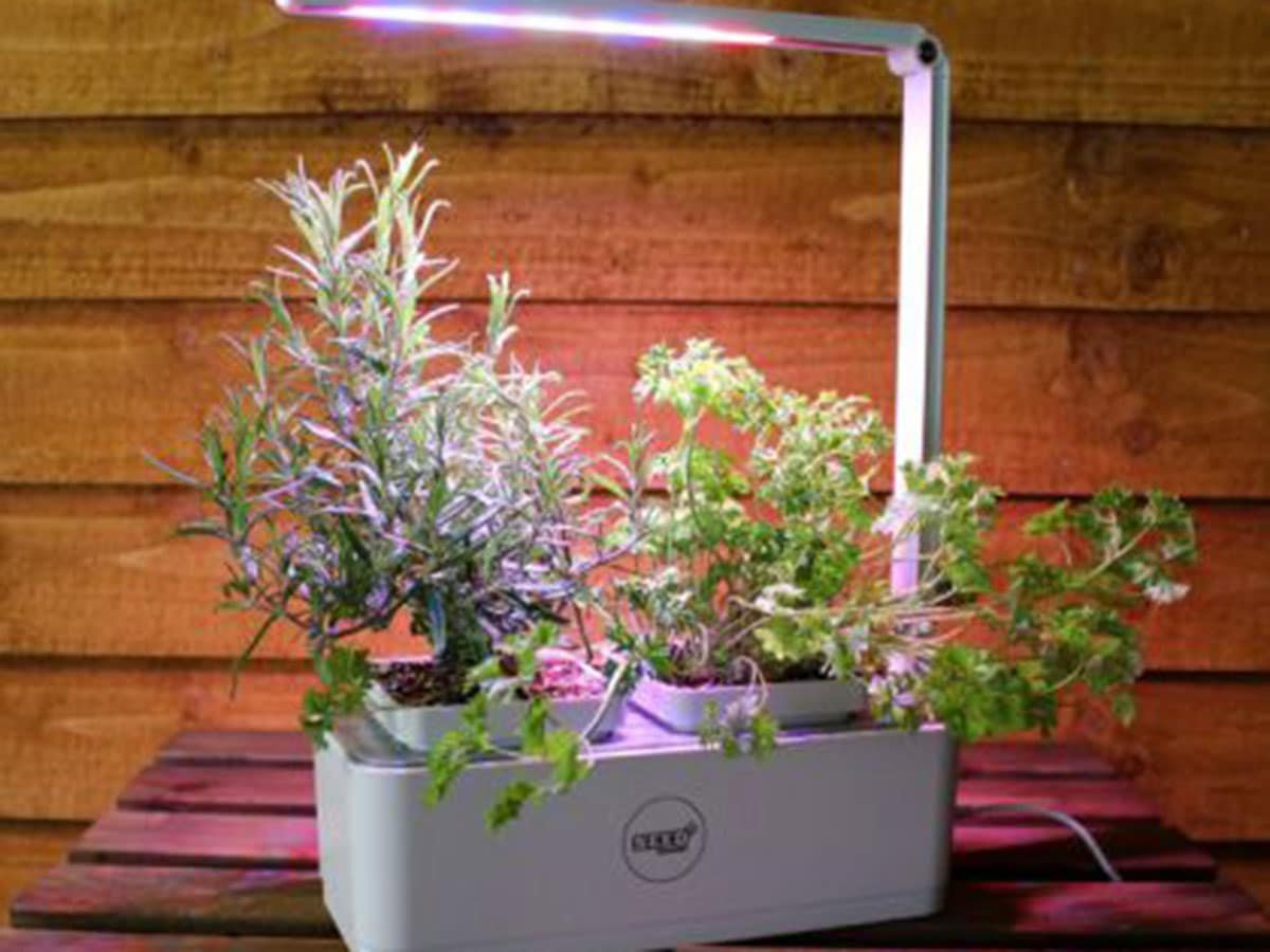 Win A Grow Pod from The Seed Pantry – Dairy Diary by Collins Debden