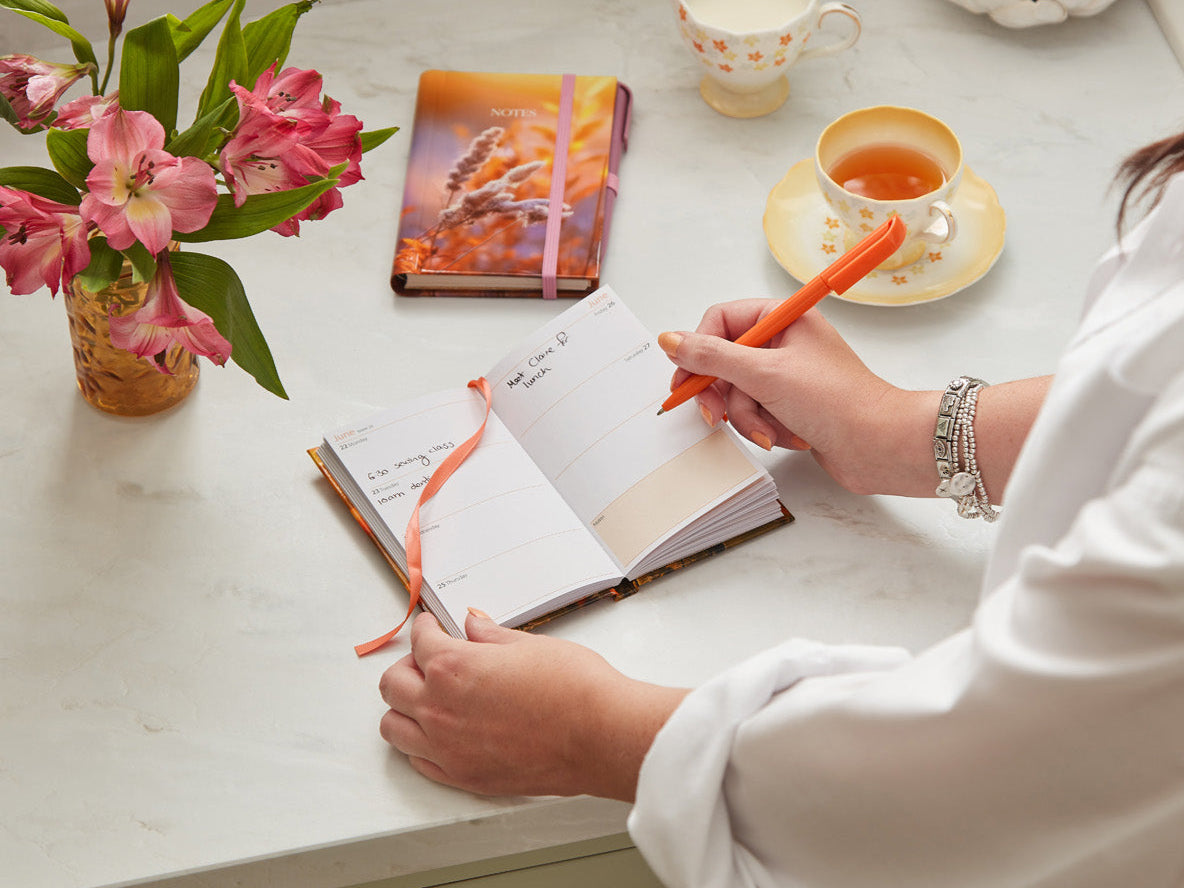 Dairy Diary, Pocket Diary & Notebook Set 2026 – Dairy Diary by Collins ...