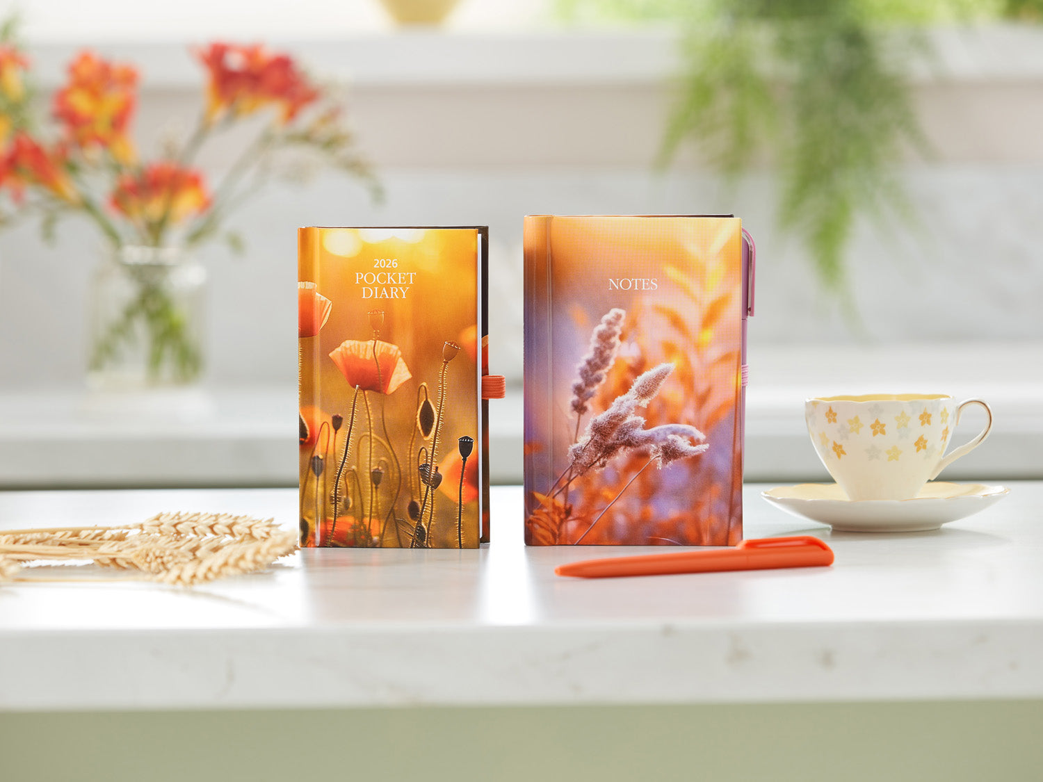 Dairy Diary, Pocket Diary & Notebook Set 2026 – Dairy Diary by Collins ...